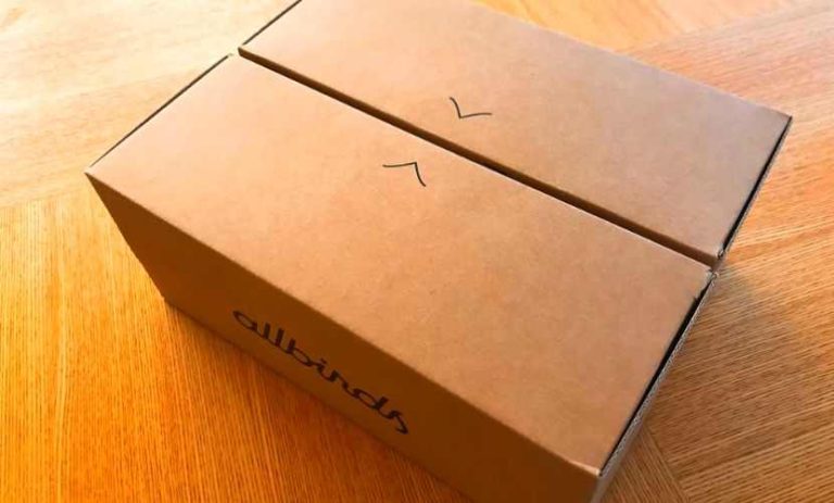 Do Allbirds Run Small, Big, Or True to Size? [Complete Guide] - Shoes ...