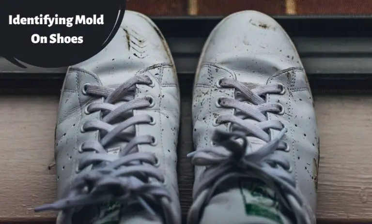 What Causes Mold on Shoes? 8 Ways to Prevent Mold! - Shoes Matrix